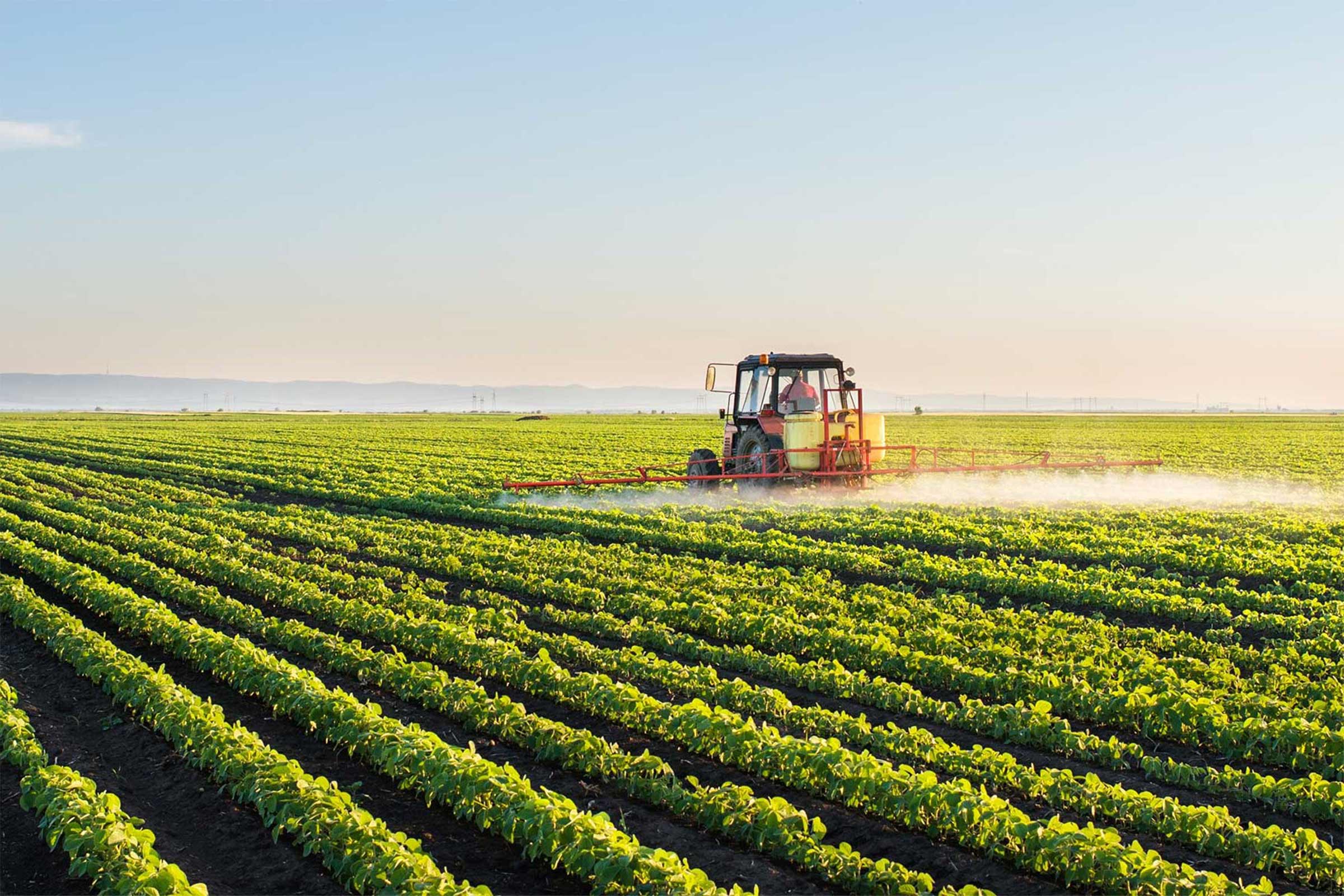 EcoAgra™ - Higher Yields for Commercial Vegetable Growers – Terra ...